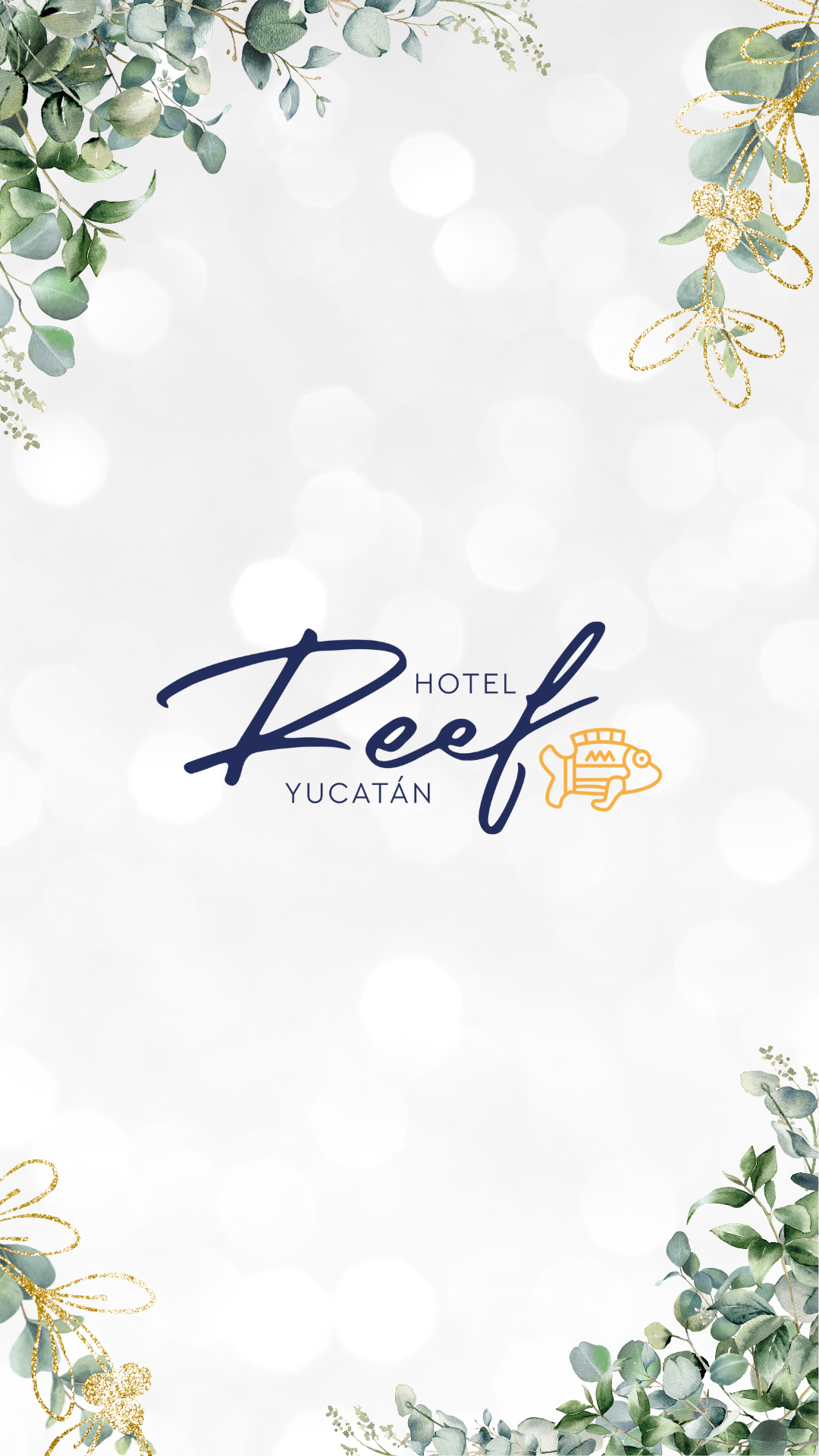 HOTEL_REEF - Experiencias Pool